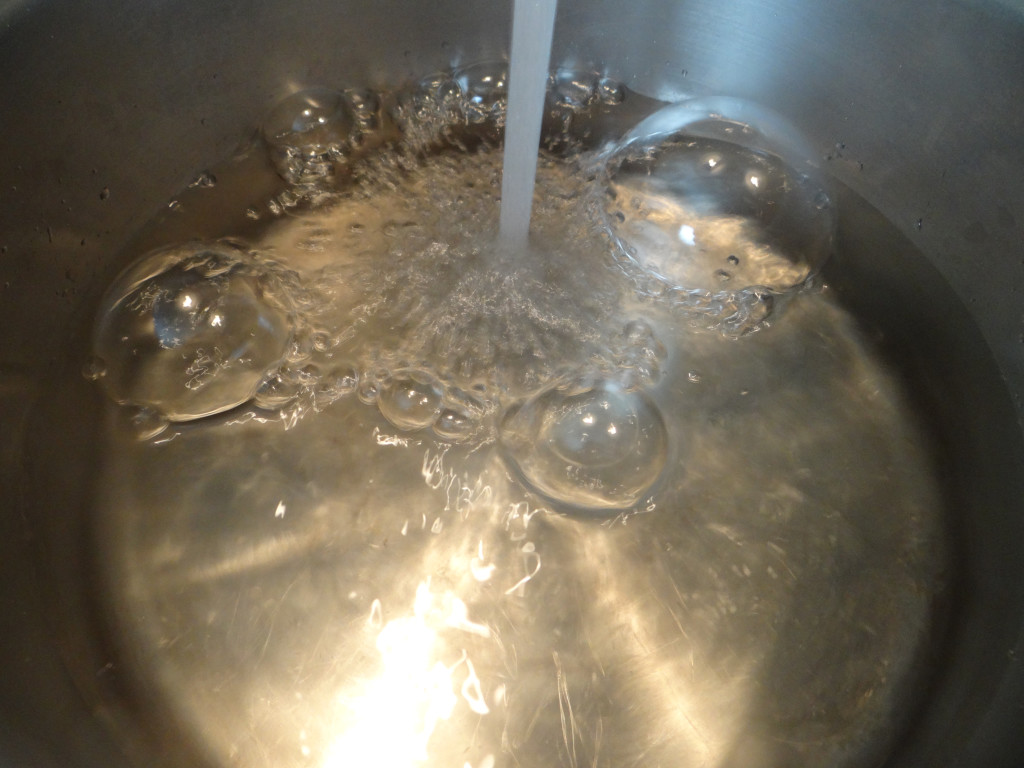 fill pot water - the portuguese american mom